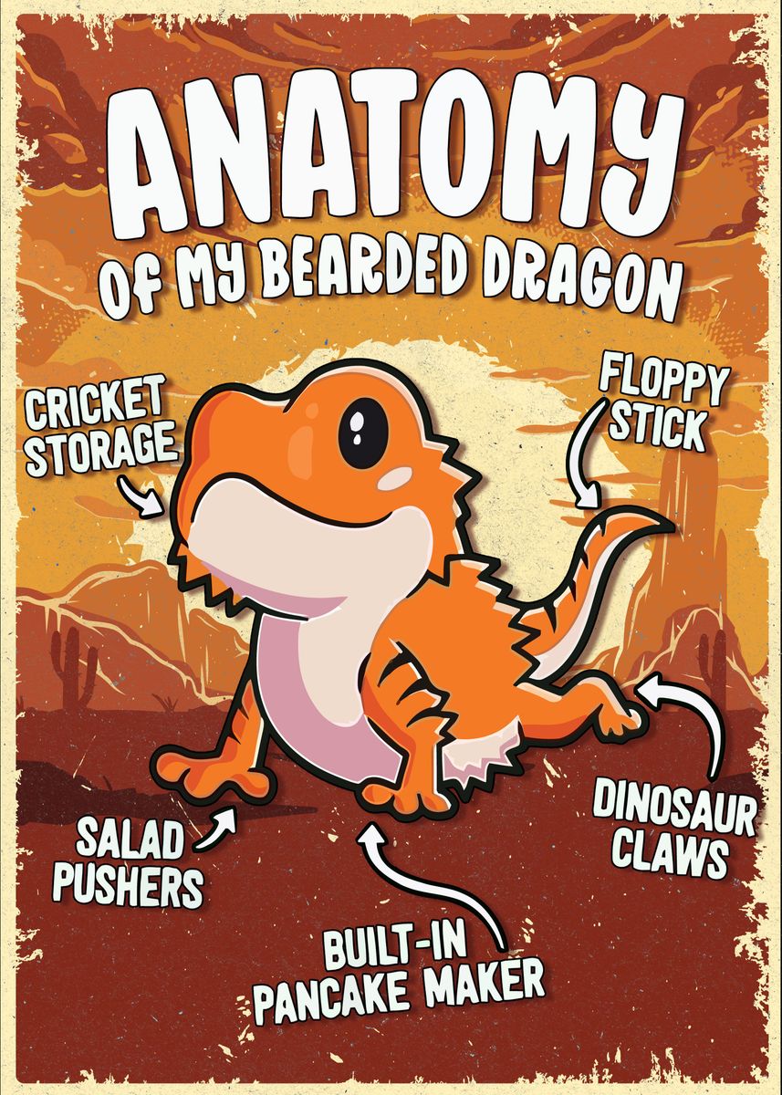 'Anatomy Of Bearded Dragon' Poster, picture, metal print, paint by ...
