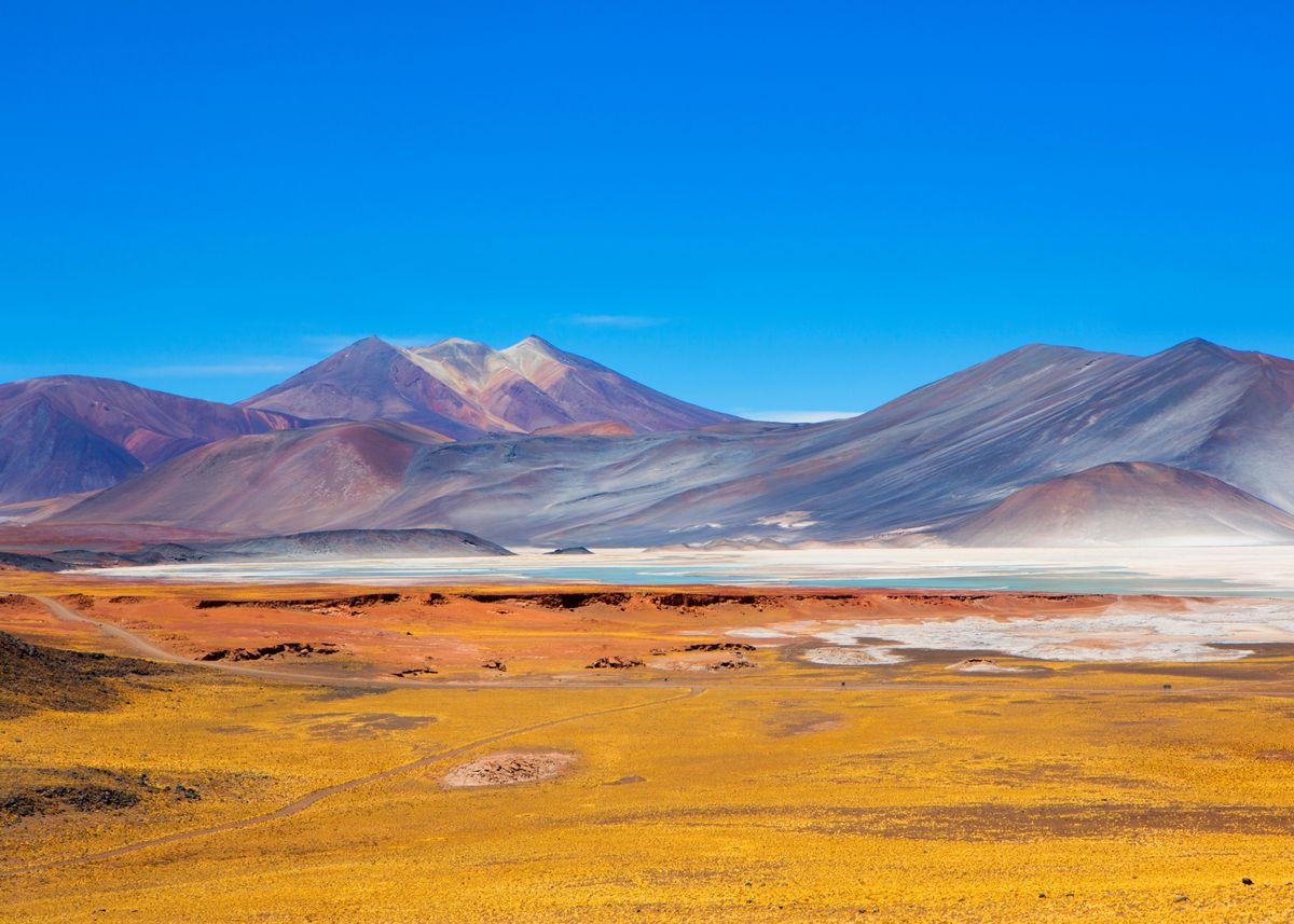 'Atacama Salt Lake' Poster by David Hare | Displate