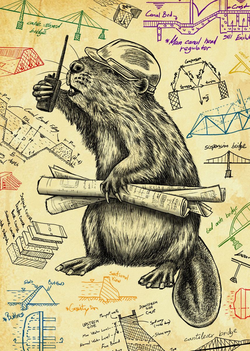 'Beaver Civil Engineer' Poster, picture, metal print, paint by Hris ...