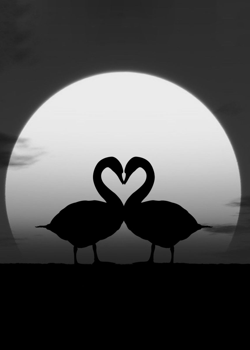 'couple goose love black an' Poster, picture, metal print, paint by ...