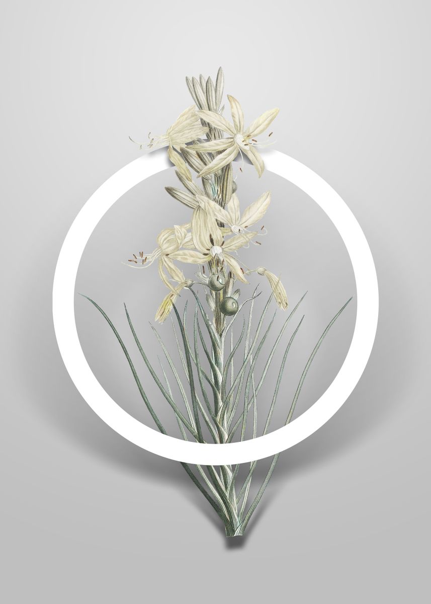 'Yellow Asphodel Flower Art' Poster, picture, metal print, paint by ...