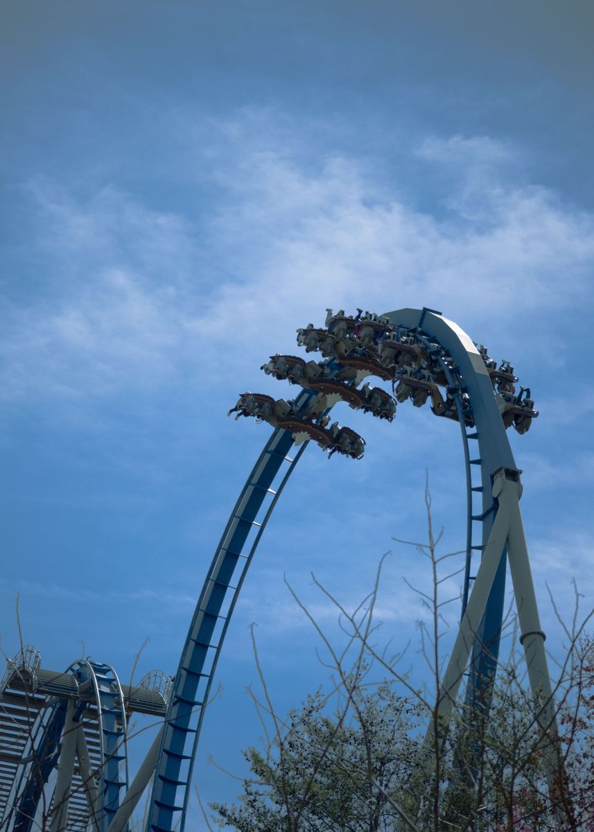 'Wild Eagle Loop' Poster, picture, metal print, paint by Griffin | Displate