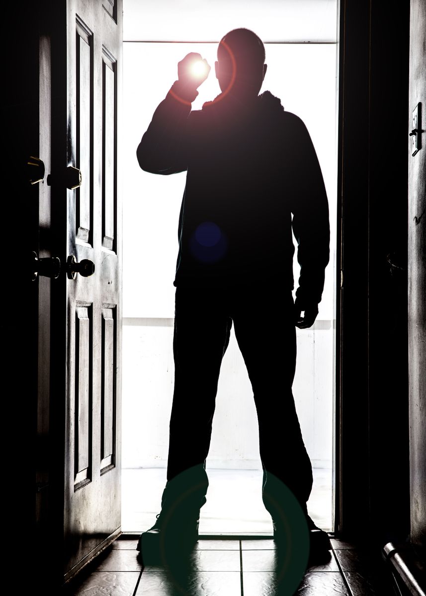 'Intruder with Flashlight' Poster, picture, metal print, paint by Bruce ...