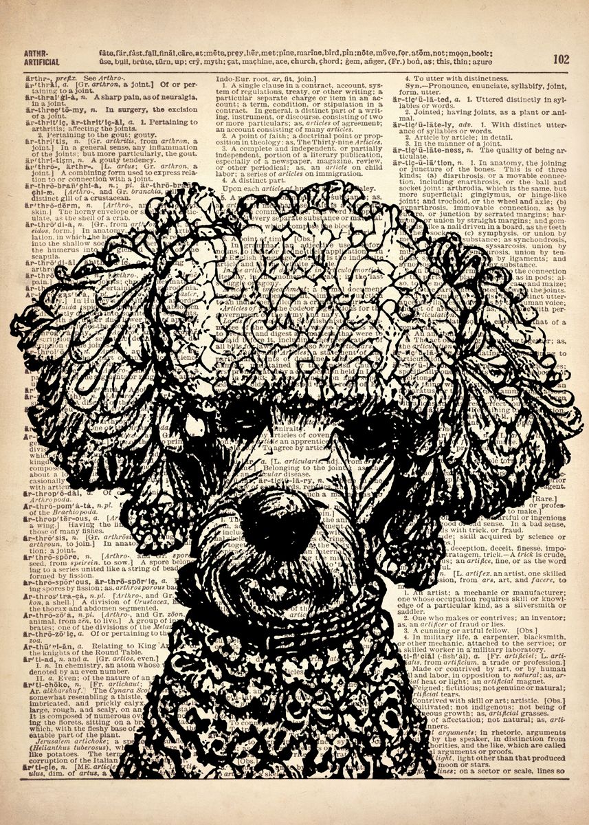 'Poodle Dog illustration' Poster, picture, metal print, paint by Art ...