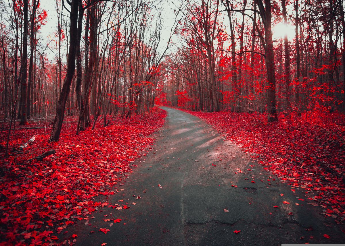 'red forest road' Poster by Marvel | Displate