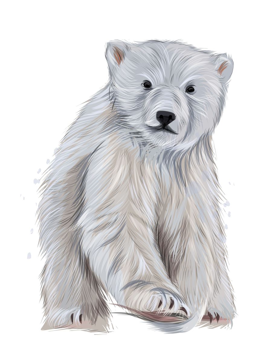 'Polar bear' Poster by Le Duc Hiep | Displate