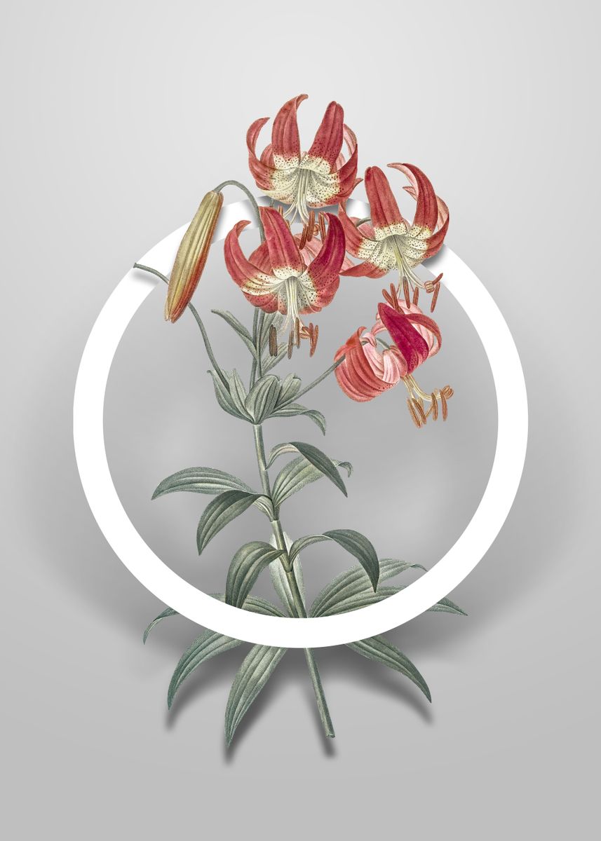 'Vintage Turban Lily Flower' Poster by Holy Rock Design | Displate