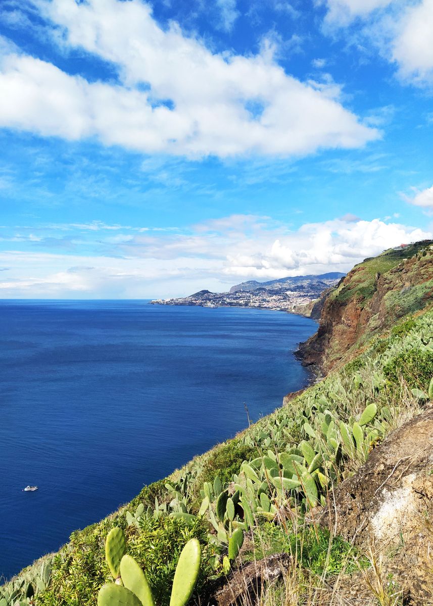 'Madeira Portugal Funchal' Poster, picture, metal print, paint by ...