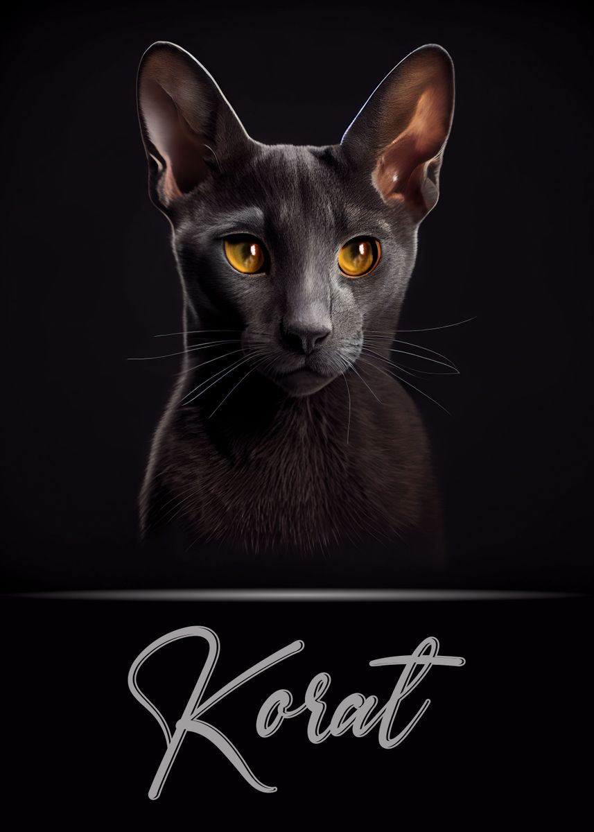 'Korat' Poster by Artistic Paradigms | Displate