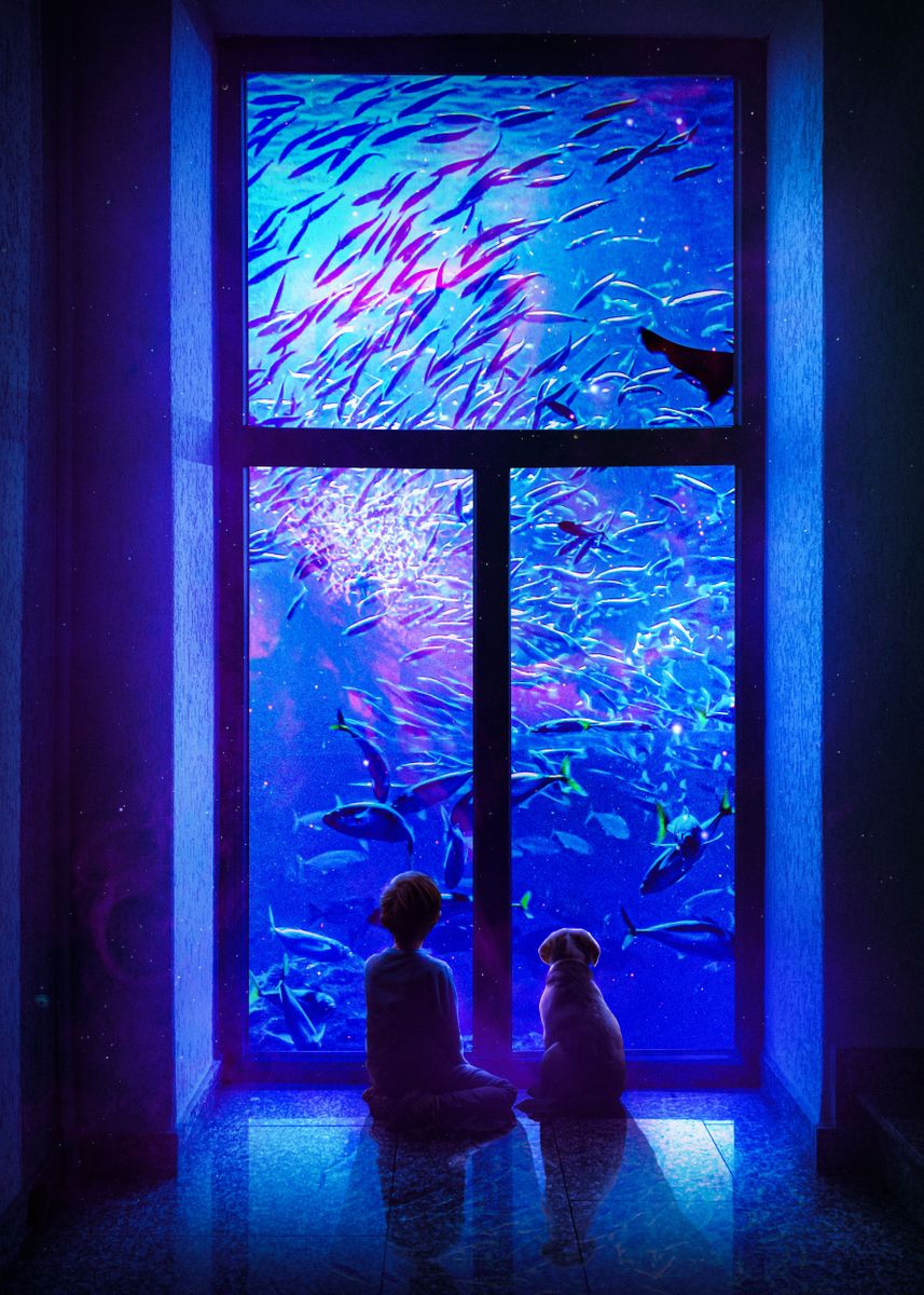 'Window View' Poster, picture, metal print, paint by Kaustav Sarkar ...