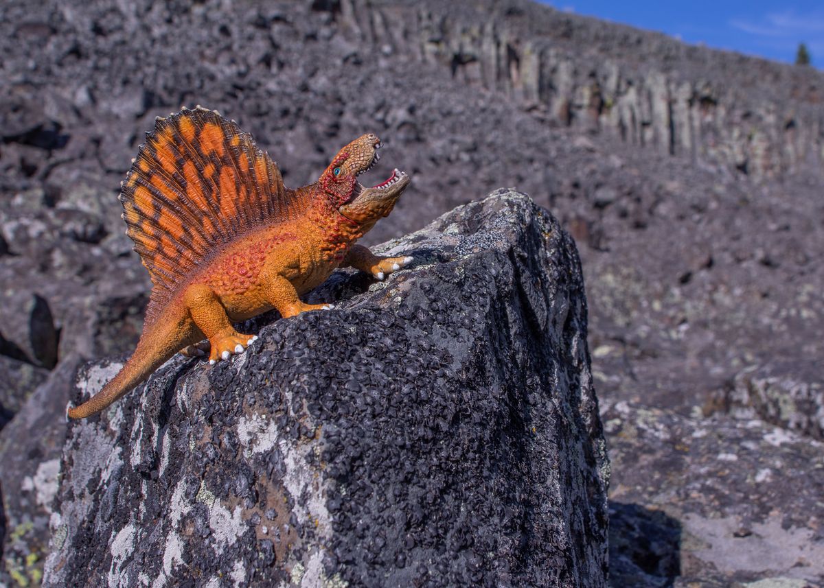 'Dimetrodon Roar' Poster by Amber Katya Anderson | Displate