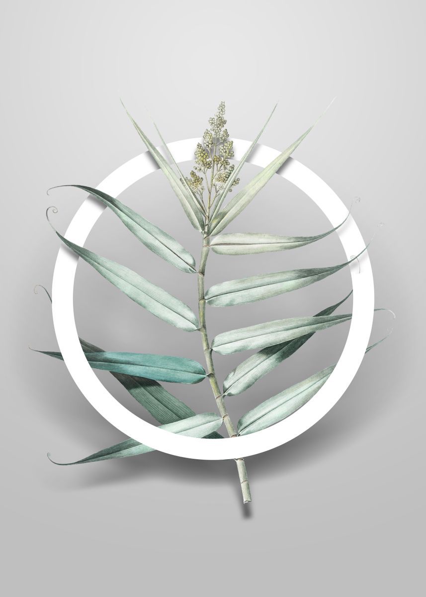 'Vintage Bush Cane Flower' Poster, picture, metal print, paint by Holy ...