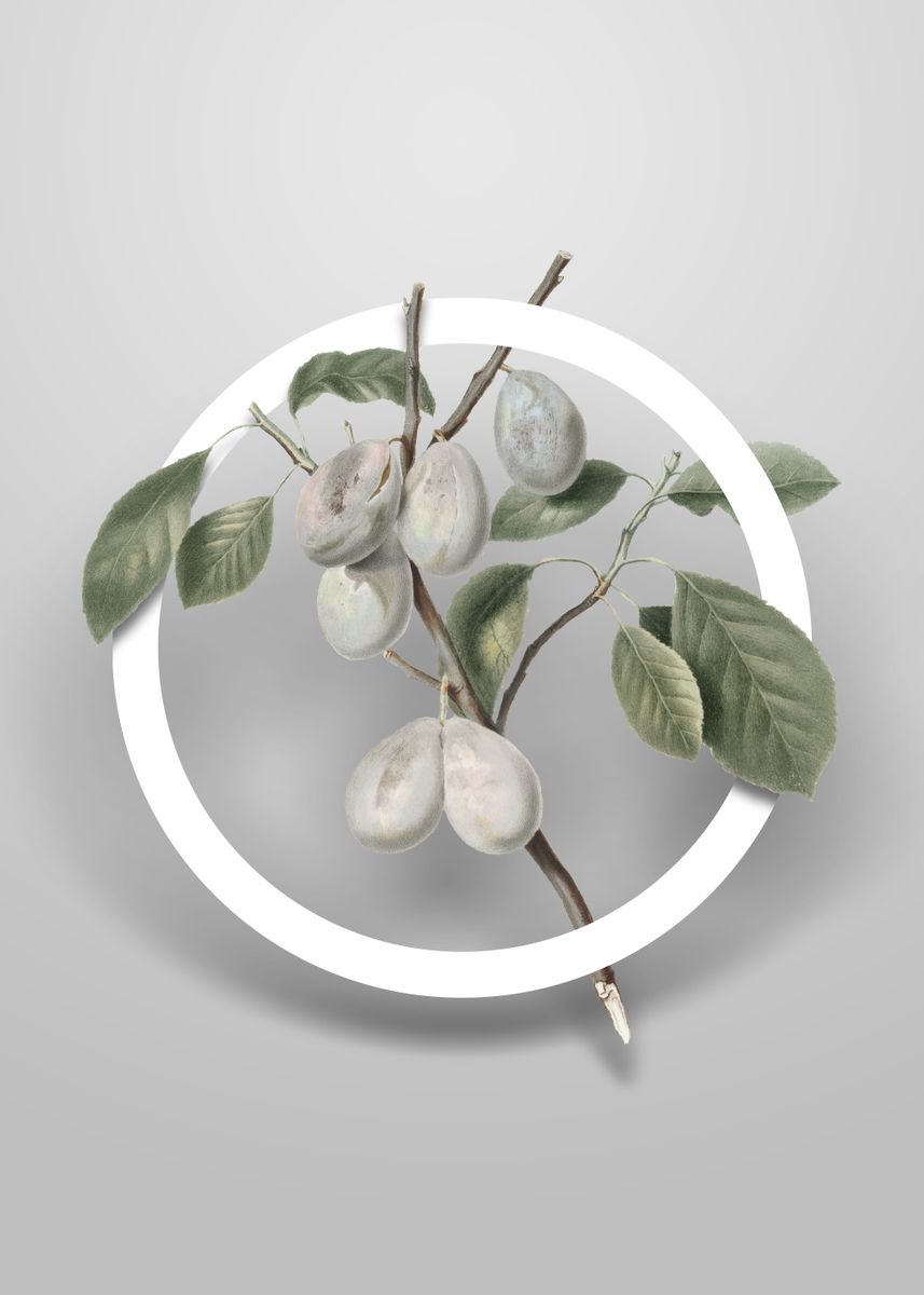 'Vintage Plum Flower Circle' Poster, picture, metal print, paint by ...
