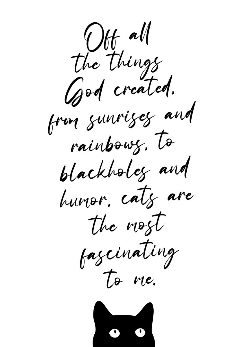 'Cat Quote Art Poster Cute' Poster, picture, metal print, paint by Team ...