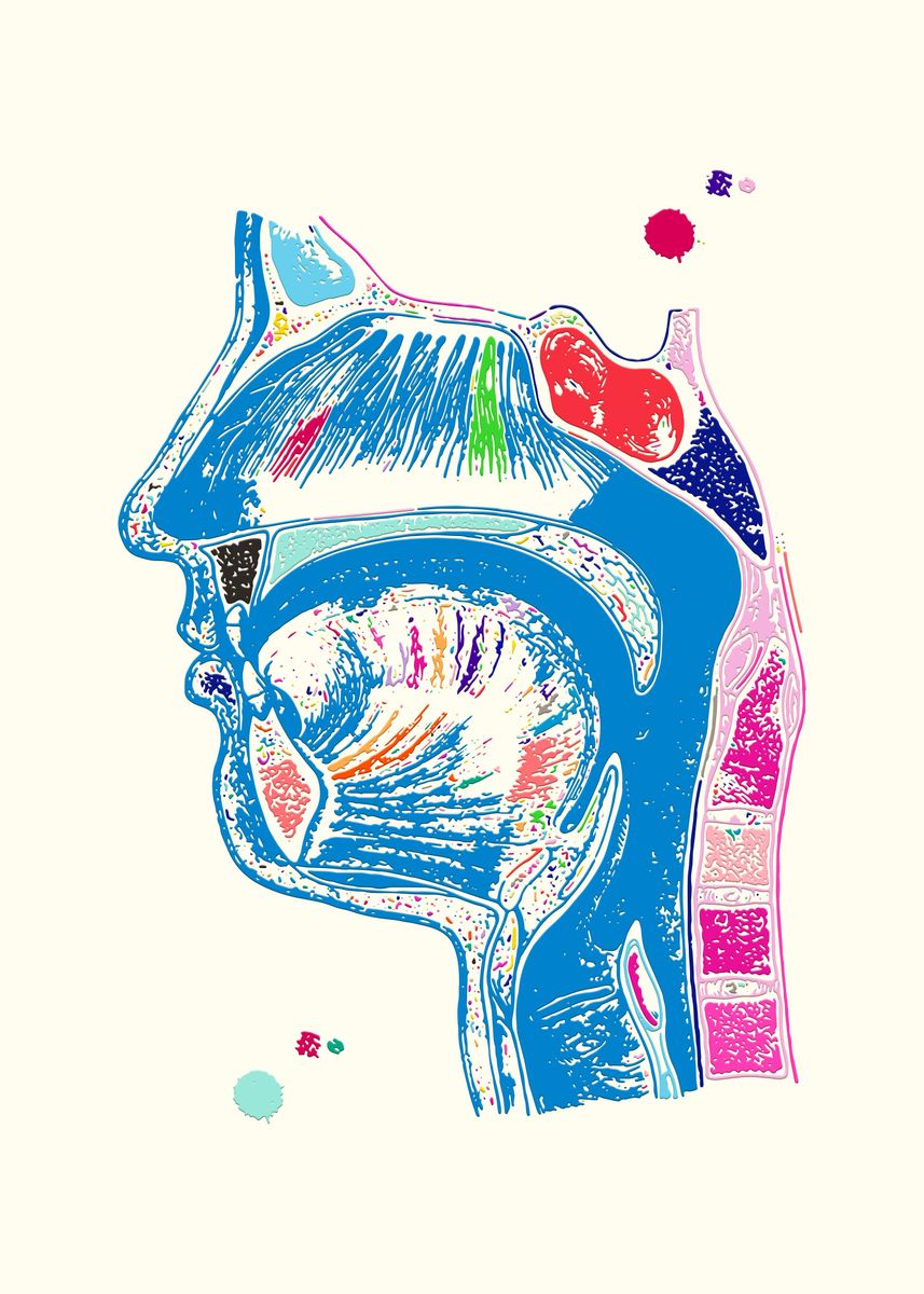 'Respiratory system' Poster, picture, metal print, paint by Dutton ...