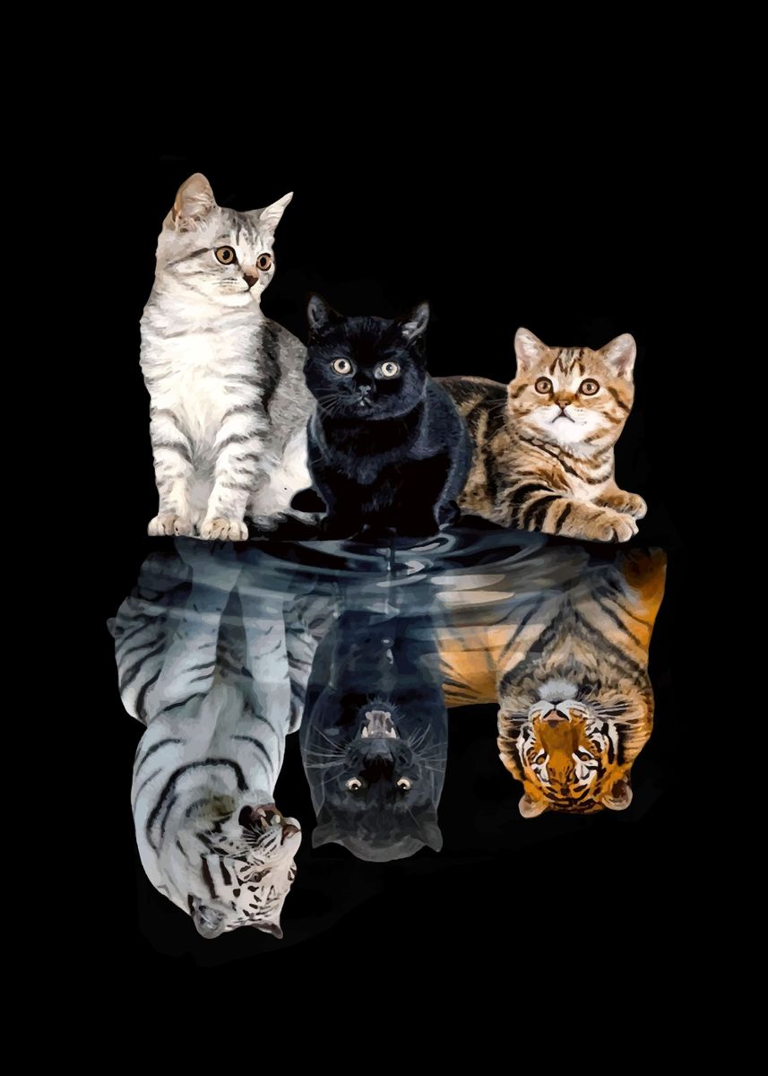 'Cats Reflection Friend ' Poster, picture, metal print, paint by Art ...