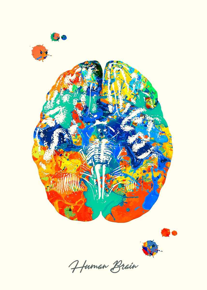 'Human Brain Art' Poster by Vincent Vorce | Displate