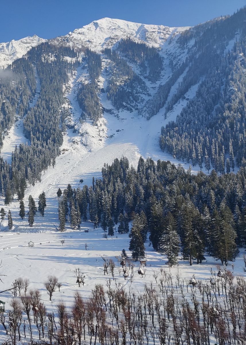'Snow Mountain Fotrees' Poster, picture, metal print, paint by Ovy yoi ...