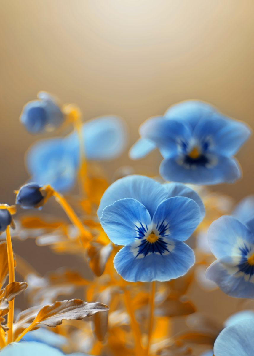 'Blue spring flowers' Poster by anettastar | Displate