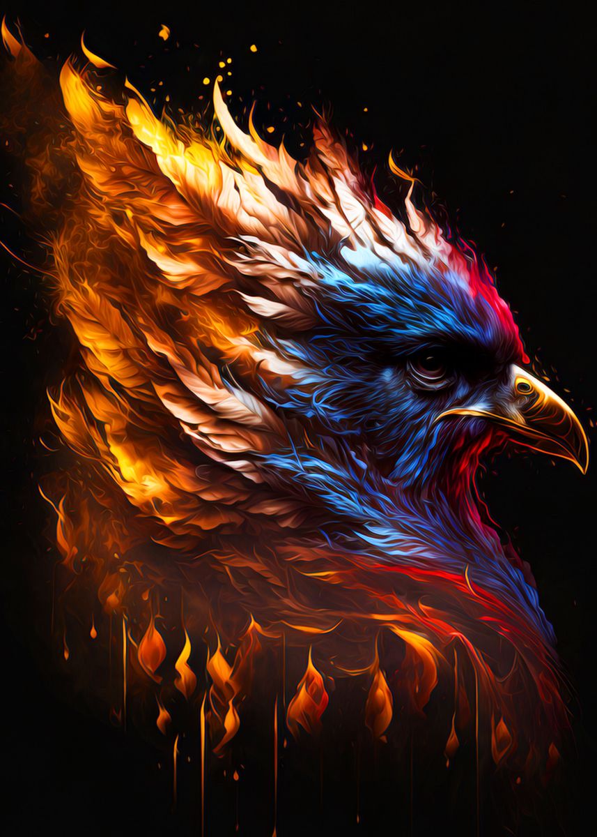 'Phoenix' Poster by Tiker Arts | Displate
