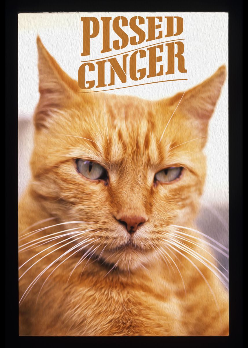 'Pissed Ginger Cat' Poster by Bruce Stanfield | Displate