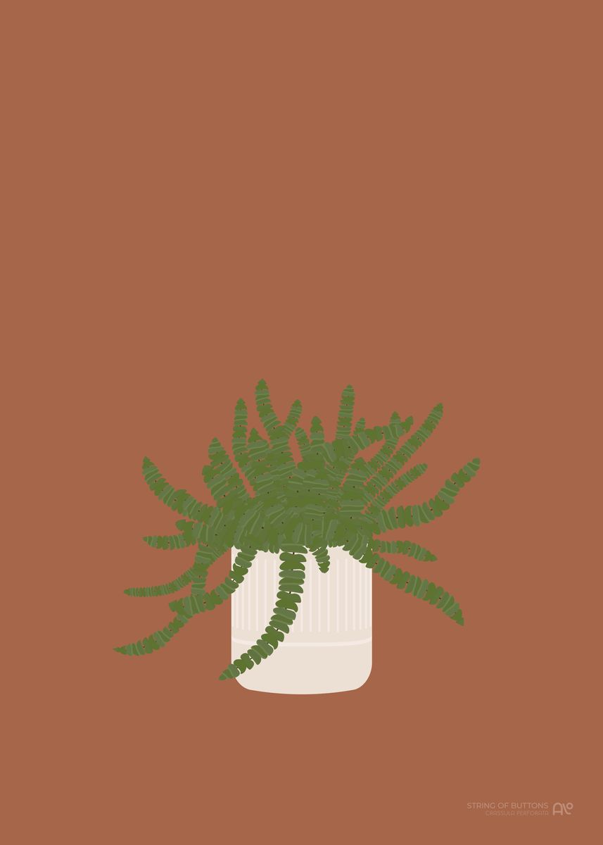 'String of Buttons Plant' Poster by Alo | Displate