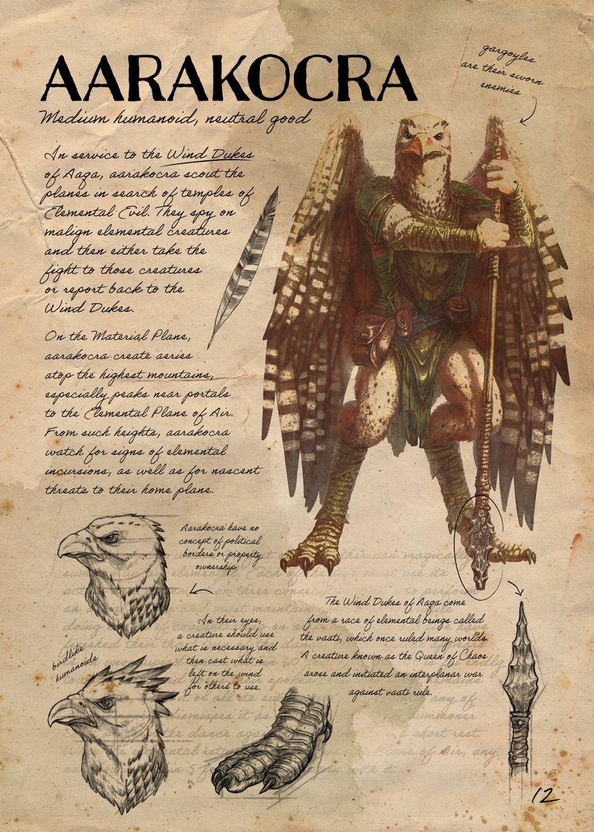 'Aarakocra Note' Poster, picture, metal print, paint by Dungeons and ...