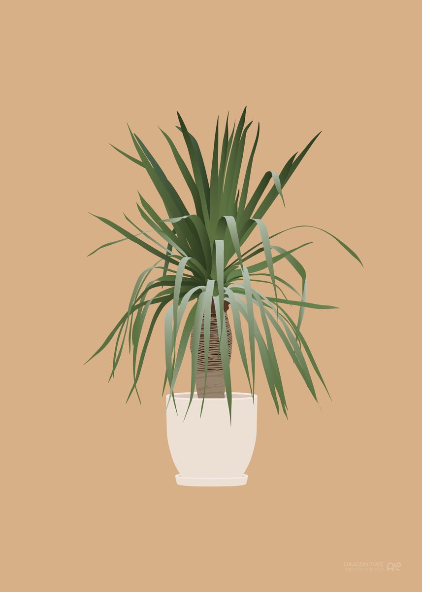 'Dragon Tree Illustration' Poster by Alo | Displate