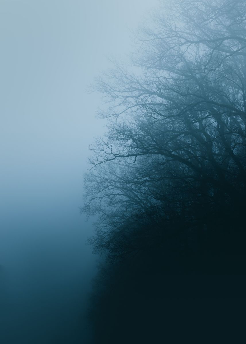 'Mist on the Moors' Poster by Stephen Bredenkamp | Displate
