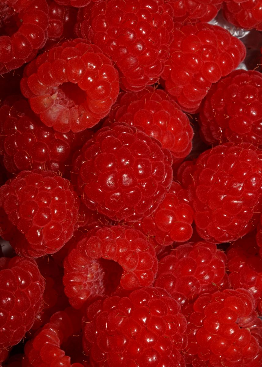 'Fresh red berries close up' Poster, picture, metal print, paint by ...