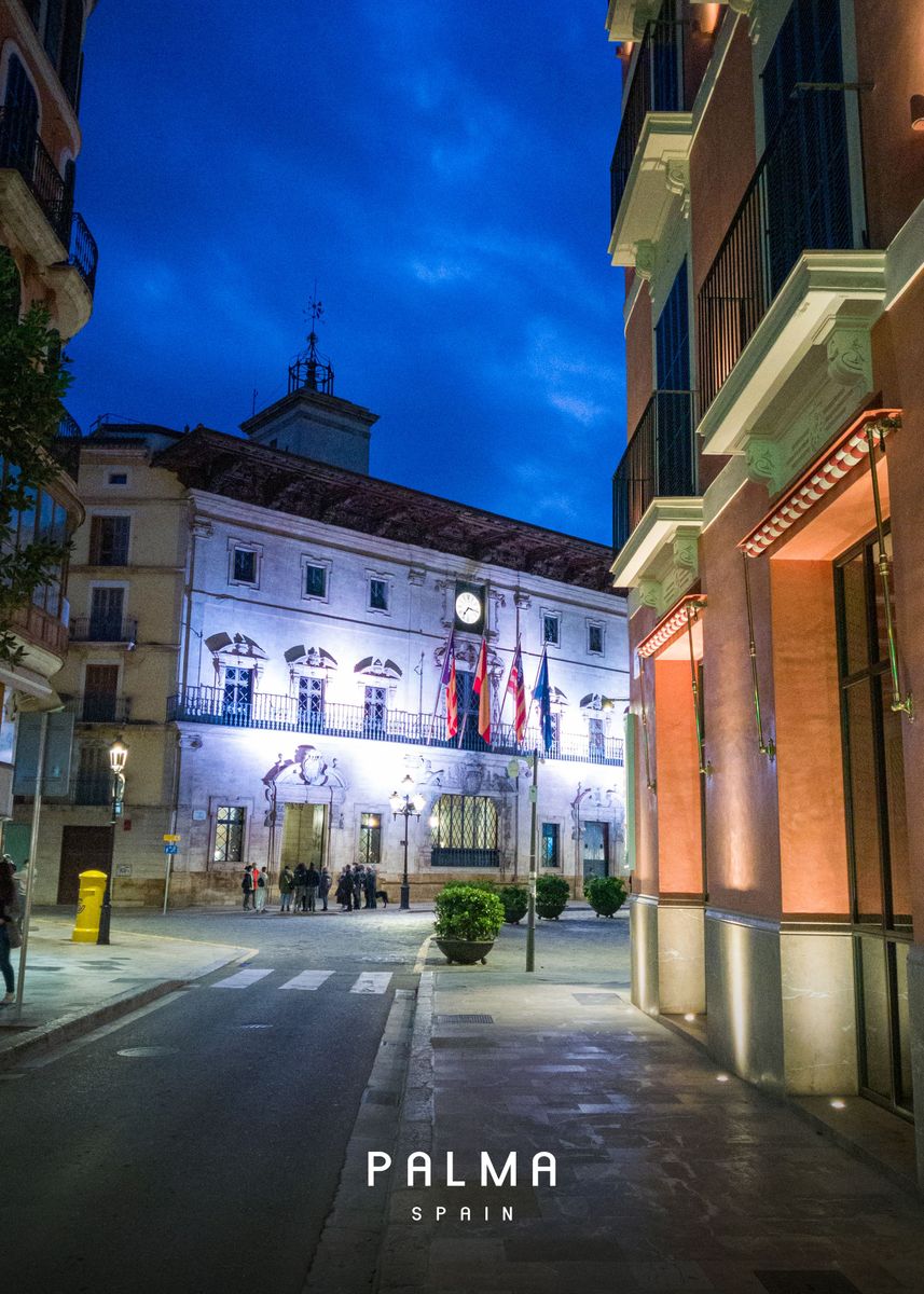 'Palma ' Poster, picture, metal print, paint by Big City | Displate