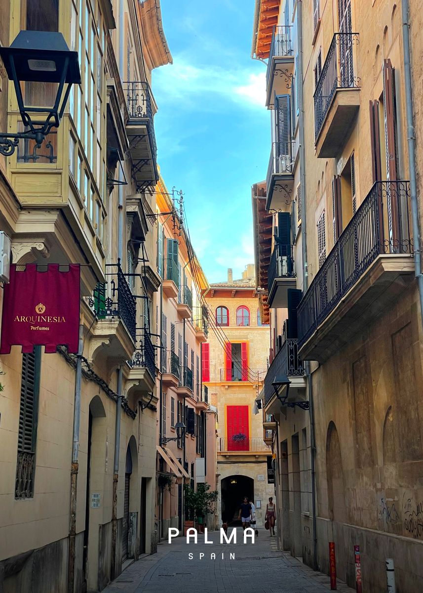 'Palma ' Poster, picture, metal print, paint by Big City | Displate