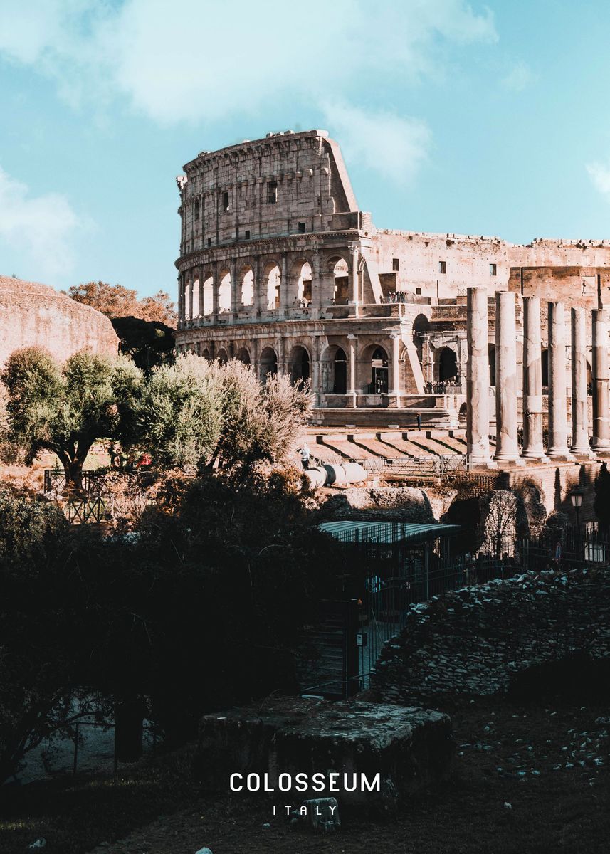 'Colosseum ' Poster, picture, metal print, paint by Famous City | Displate