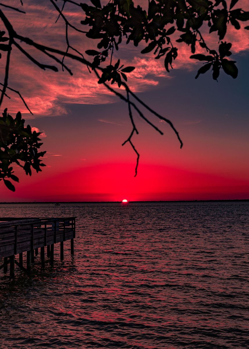 'Florida sunsets' Poster, picture, metal print, paint by Zachary | Displate
