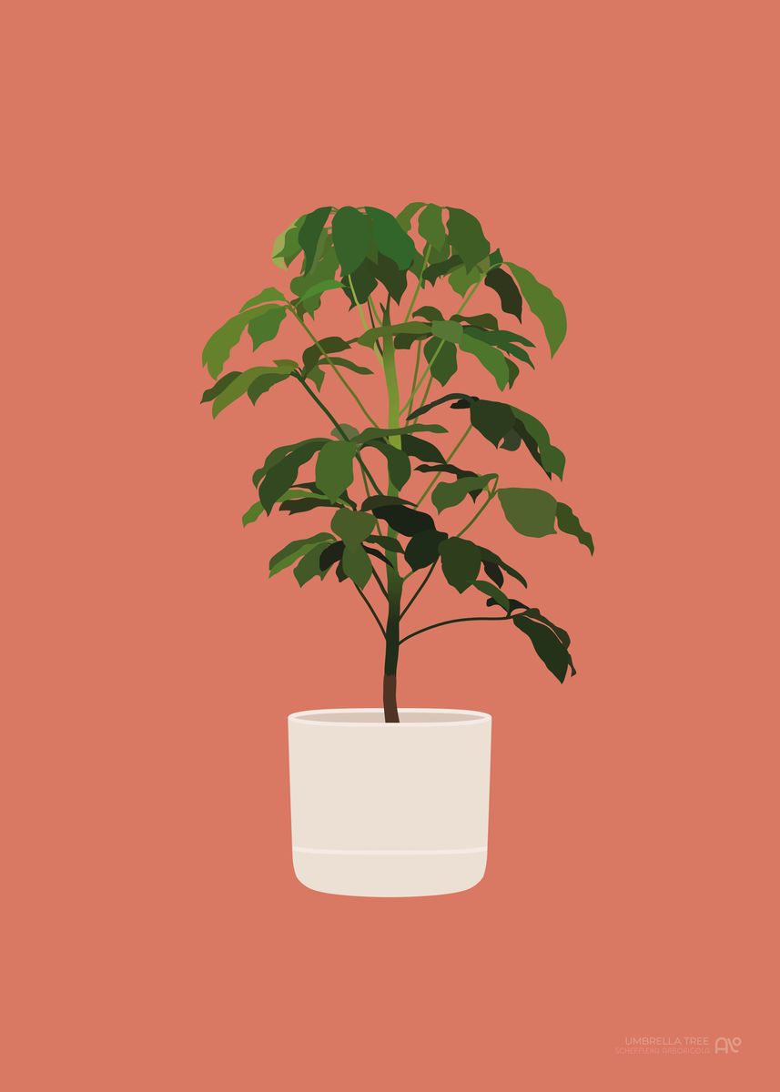 'Umbrella Tree Illustration' Poster, picture, metal print, paint by Alo ...
