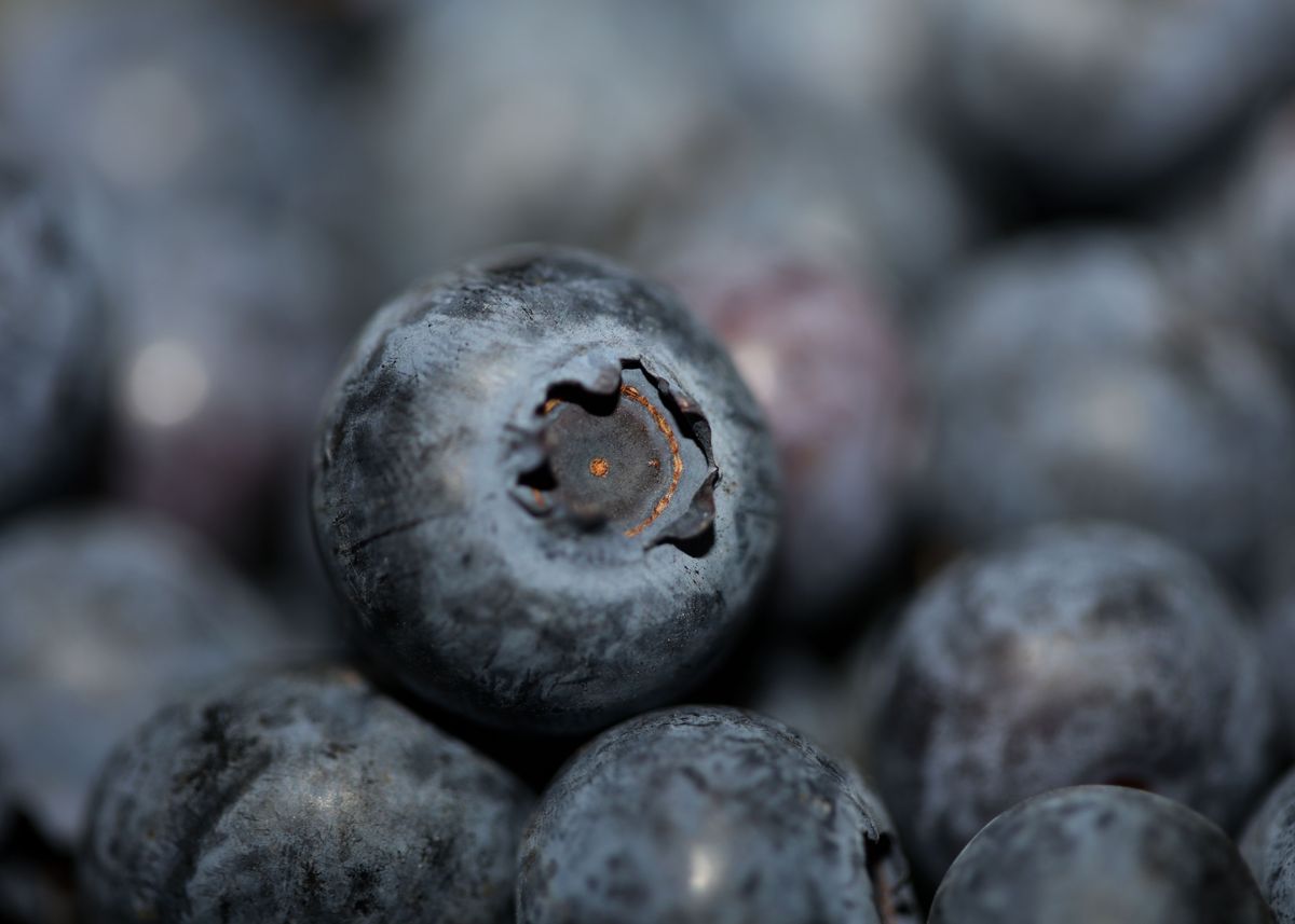 'Fresh blueberries close up' Poster by BakalaeroZz Photography | Displate