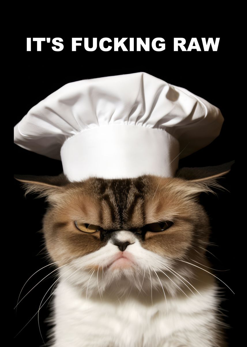 'Its Raw Meowster Chef Meme' Poster, picture, metal print, paint by mcmtdesigns | Displate