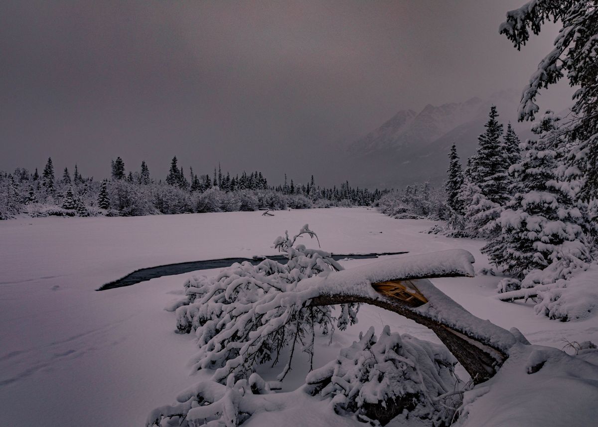 'Snowy Alaska' Poster by Zachary | Displate