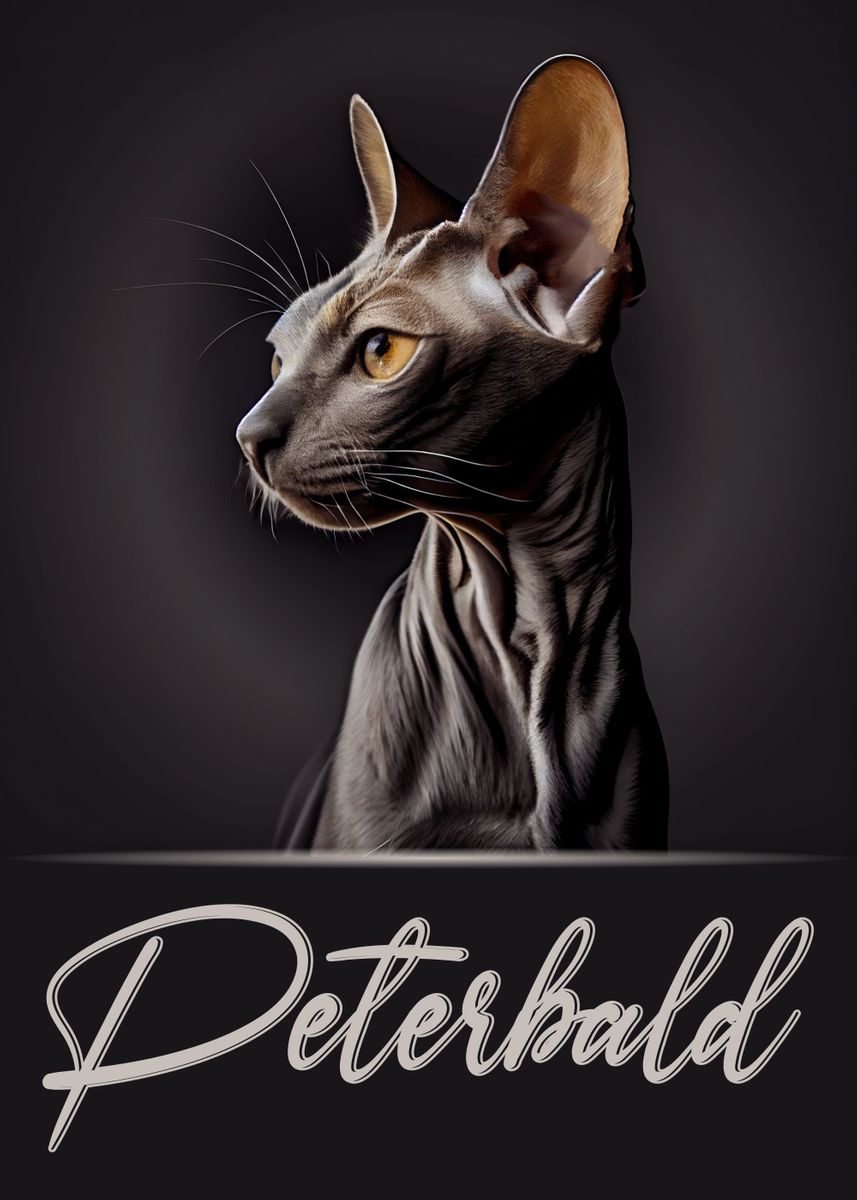 'Peterbald Portrait' Poster, picture, metal print, paint by Artistic ...