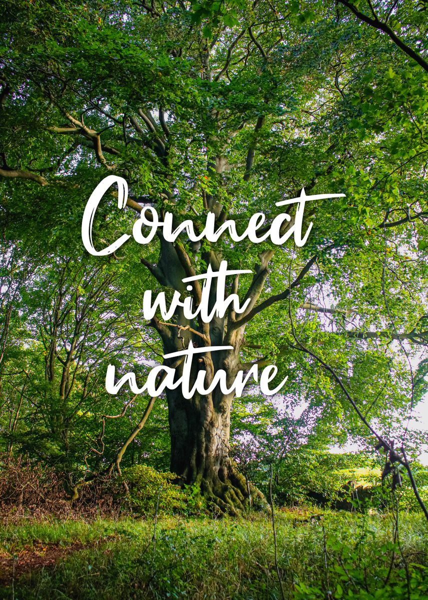 'Connect with nature quote' Poster, picture, metal print, paint by JM ...
