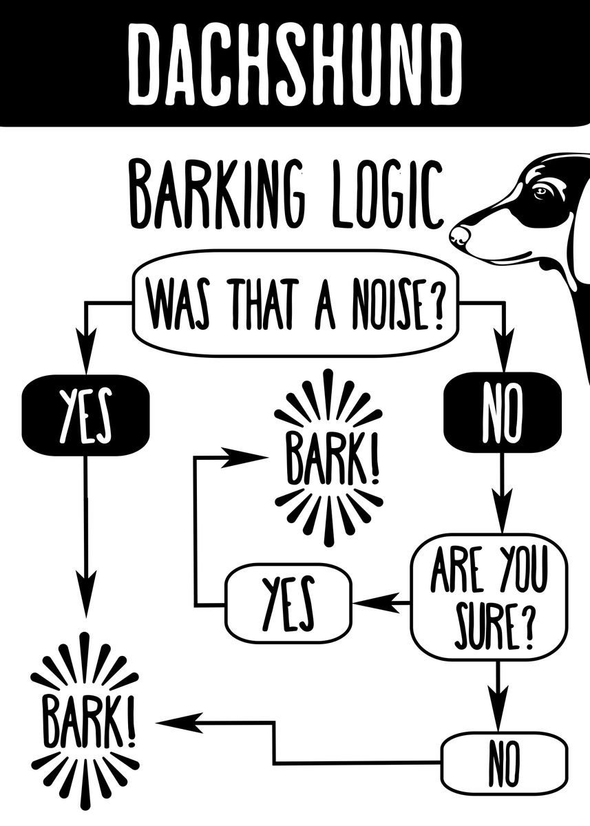 'Dachshund Dog Barking Joke' Poster, picture, metal print, paint by ...