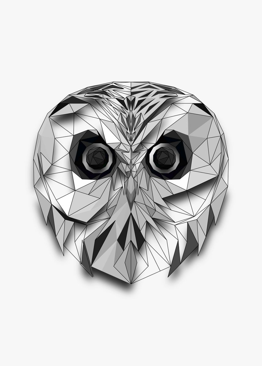 'Owl Half Wireframe Lowpoly' Poster, picture, metal print, paint by ...