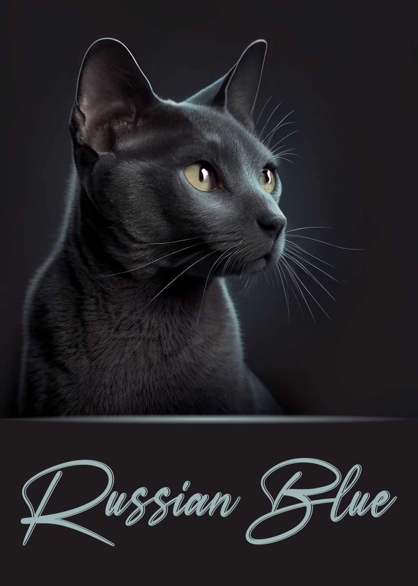 'Russian Blue Portrait' Poster, picture, metal print, paint by Artistic ...
