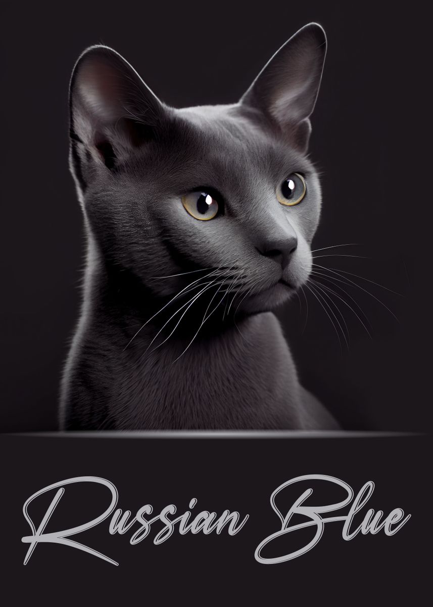 'Russian Blue' Poster, picture, metal print, paint by Artistic ...