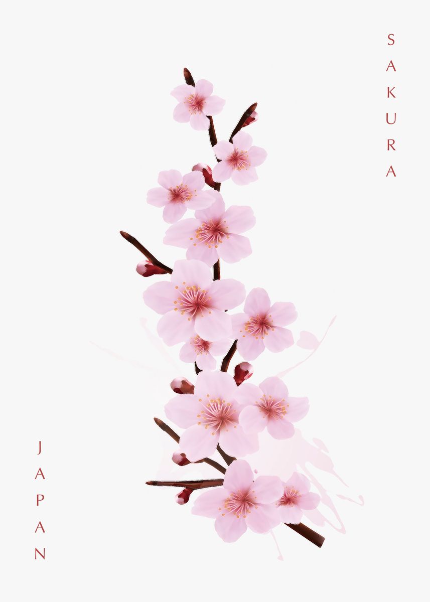 'Cherry Blossom' Poster, picture, metal print, paint by Space Nature ...