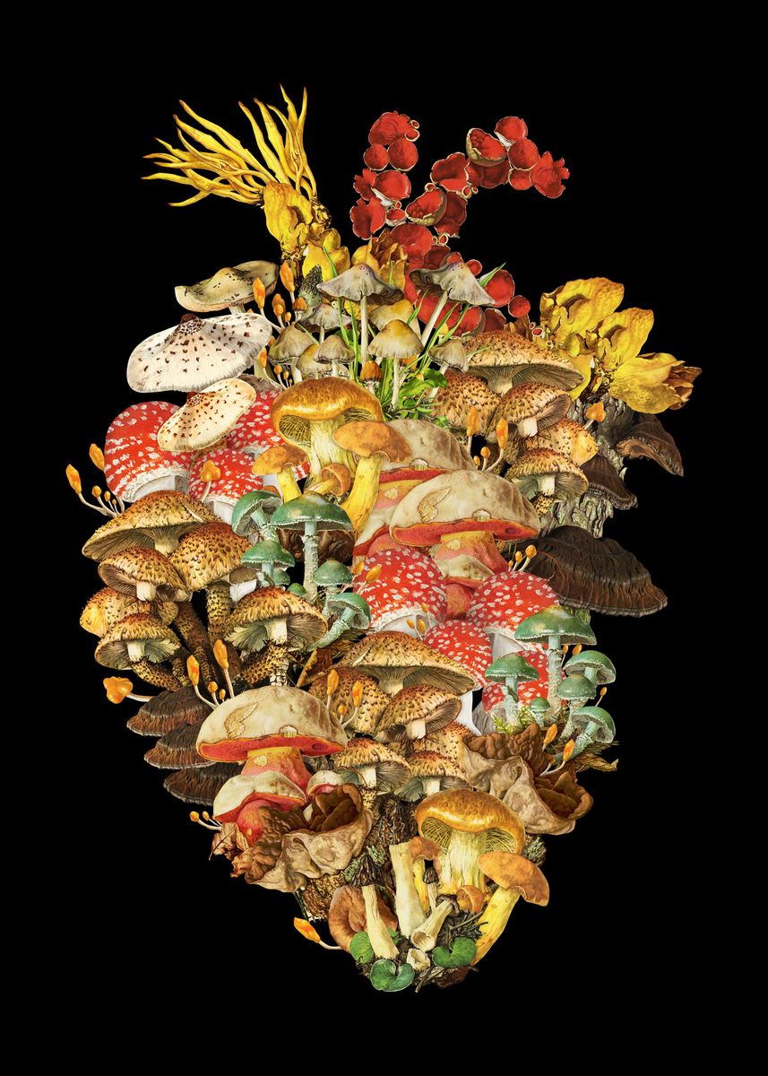 'Mushroom Heart Cordyceps' Poster by Tobias Fonseca | Displate