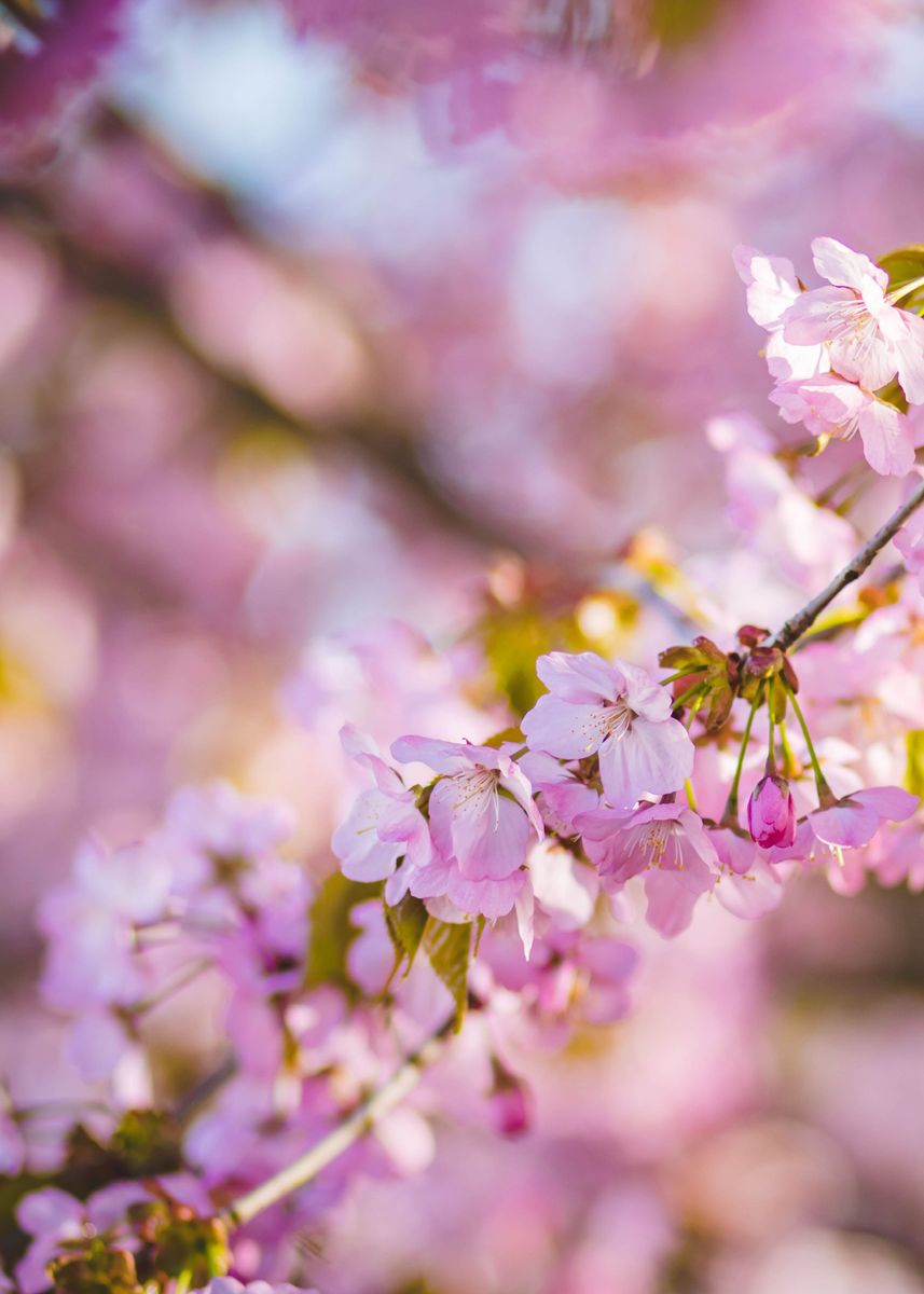 '12Nature Forest Flowers' Poster by wulan lian | Displate