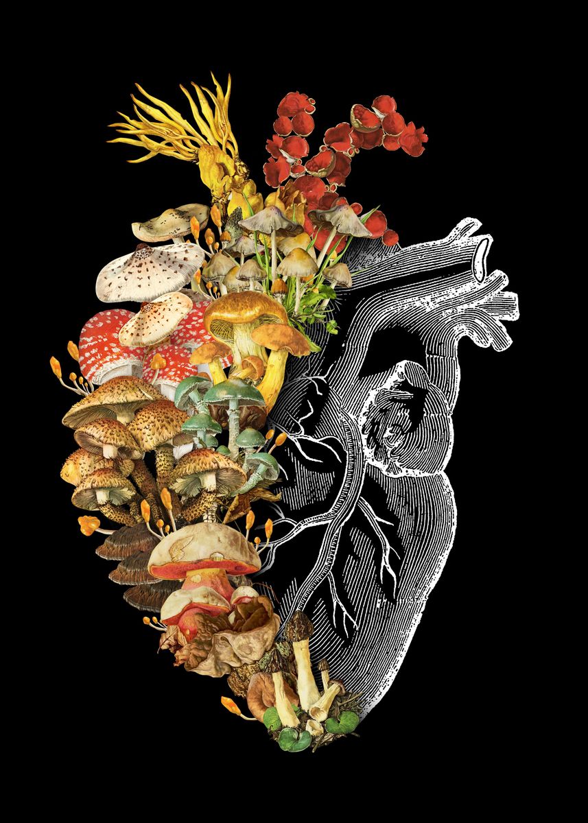 'Mushroom Heart Vintage' Poster, picture, metal print, paint by Tobias ...