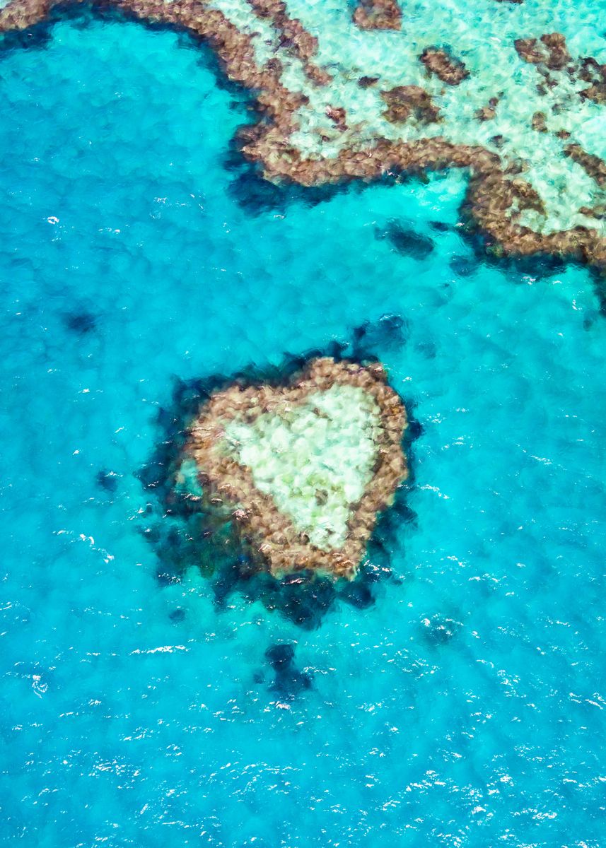 'Heart Reef Australia' Poster, picture, metal print, paint by Matteo ...
