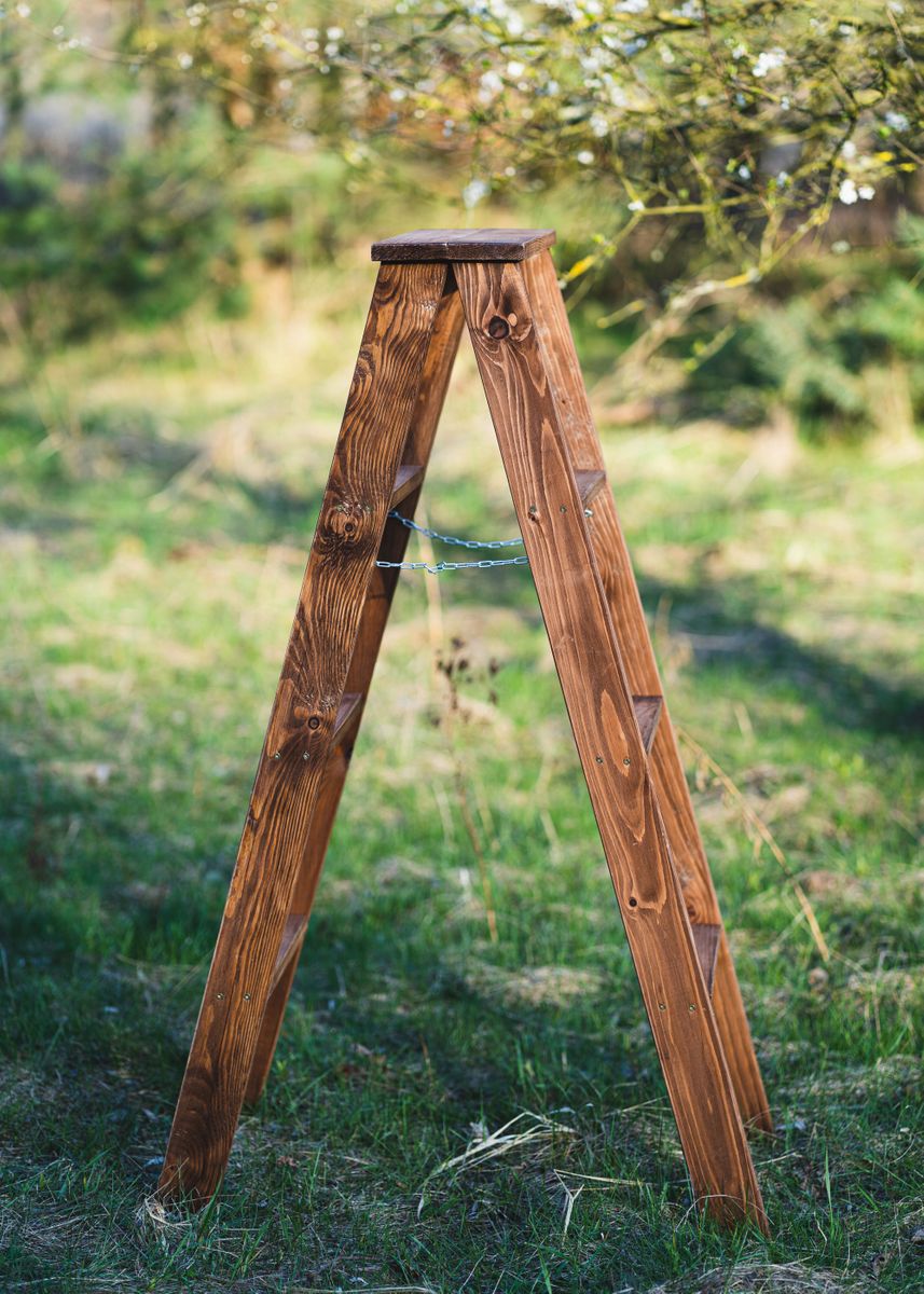 'Ladder' Poster, picture, metal print, paint by Malwina Lewinska | Displate